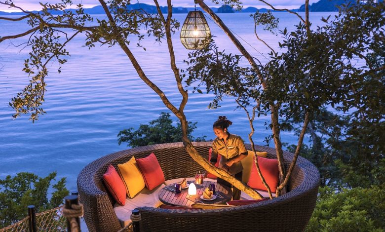 New Ideas Hatching in the Bird’s Nest | TOP25 World | It's Your World